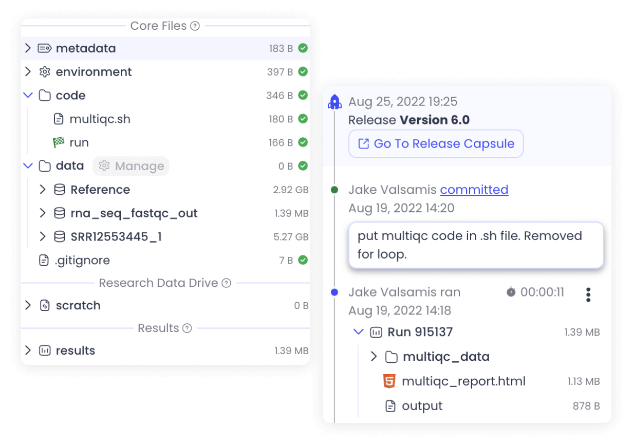 Compute Capsules | Code Ocean